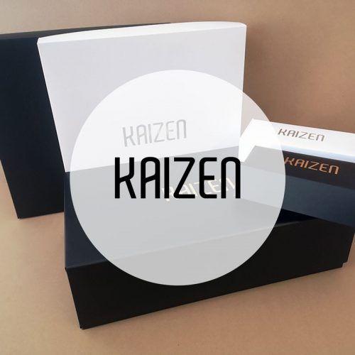 KAIZEN: packaging per delivery e take away. - Grafiche Moglia Torino